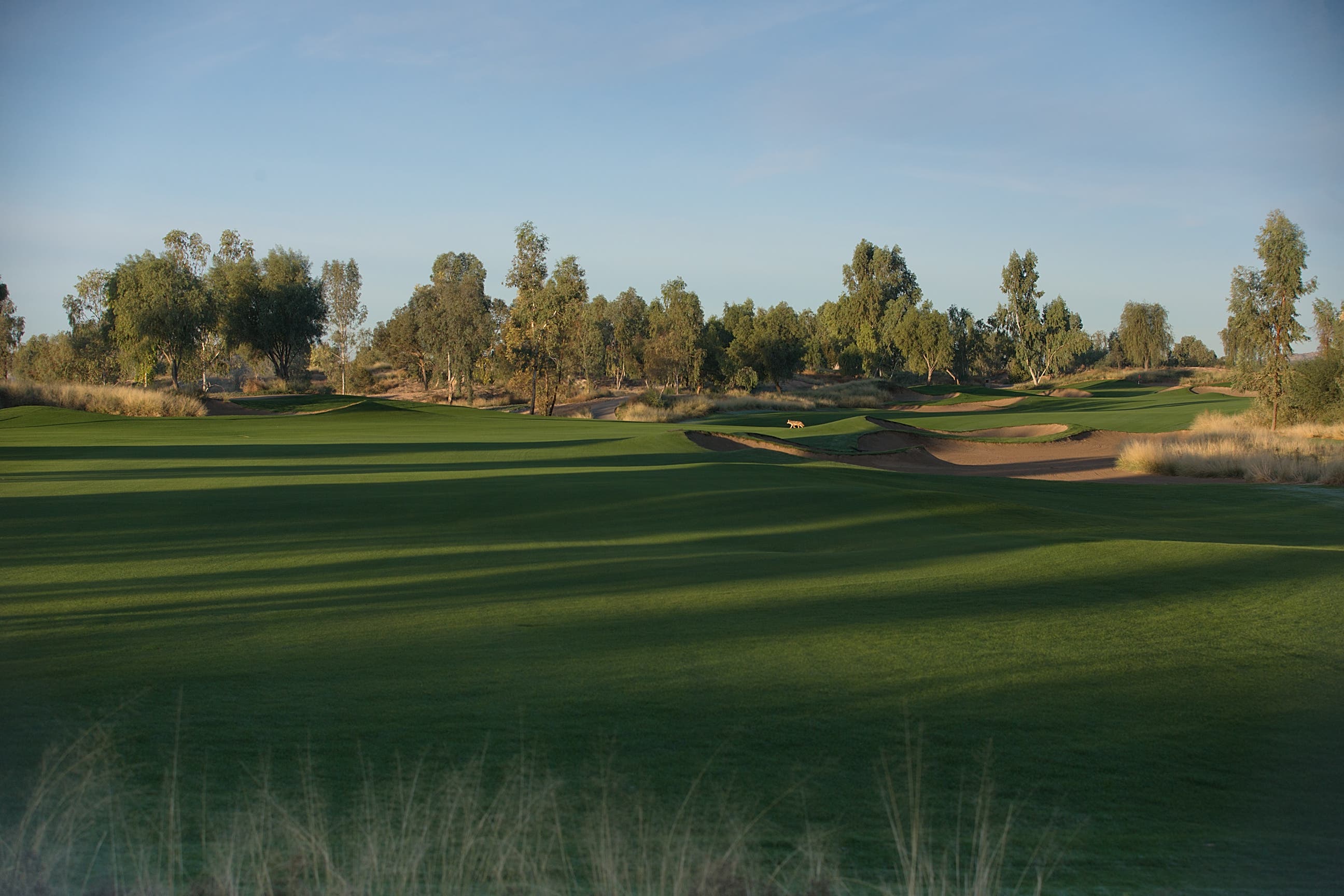 Ak-Chin Southern Dunes Golf Club | Golf with Access | Book tee times