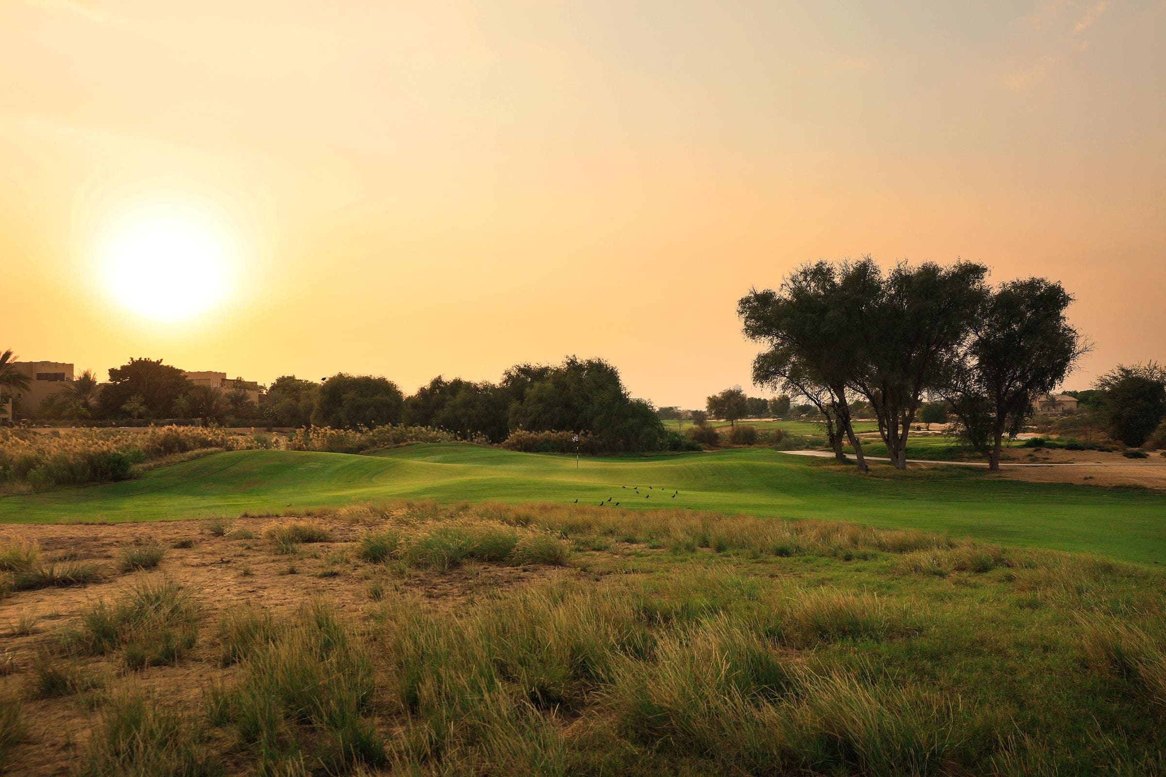 Troon Executive Card - Play golf in the UAE, Oman, Egypt, and India | Troon