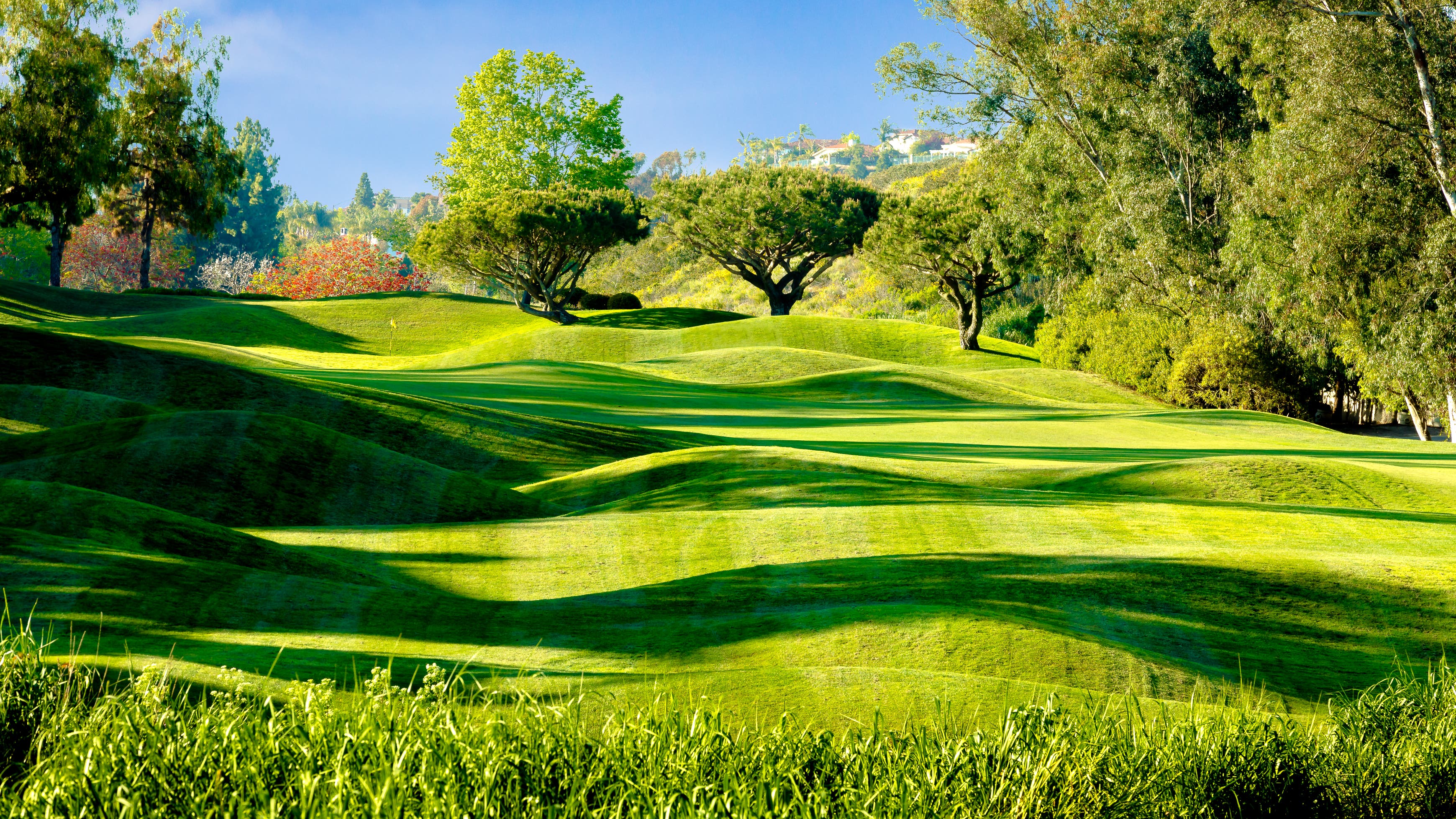 Aviara Golf Club | Golf with Access | Book tee times
