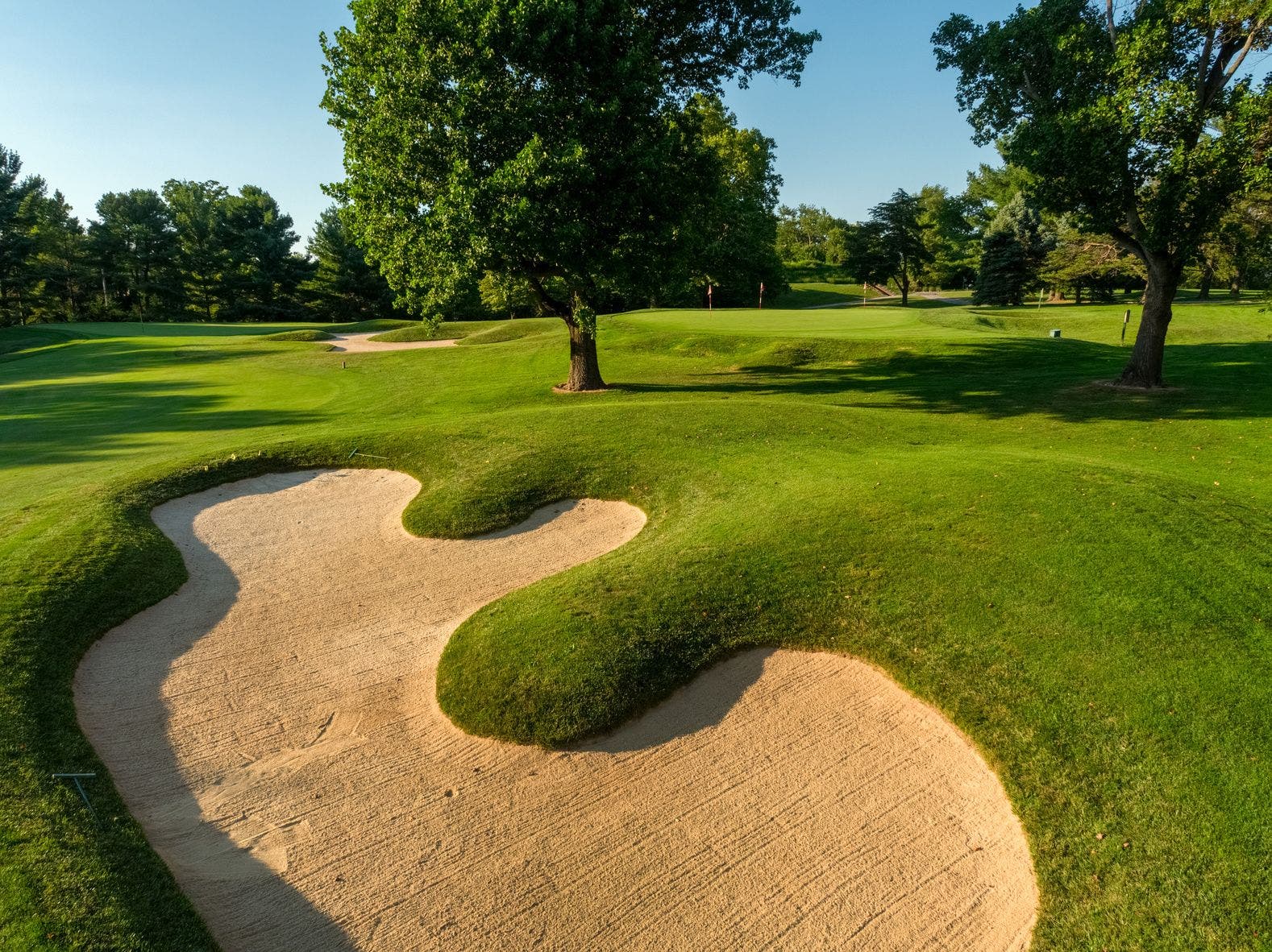 Woodholme Country Club | Troon Rewards | Book tee times